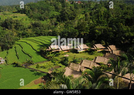 sunlit mountains, houses & rice terraces, Pacung, Bali, Indonesia ...