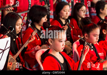Musicians playing sanshin, Okinawan musical instrument Stock Photo - Alamy