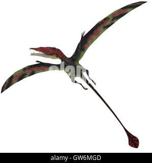 The carnivorous Eudimorphodon was a pterosaur flying reptile that Stock ...