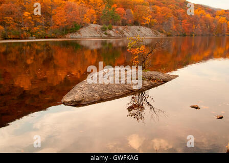 Beautiful fall colors reflecting in the forest lake Stock Photo - Alamy