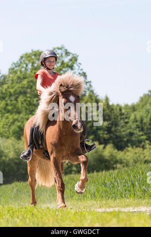 A Horse being ridden Stock Photo - Alamy