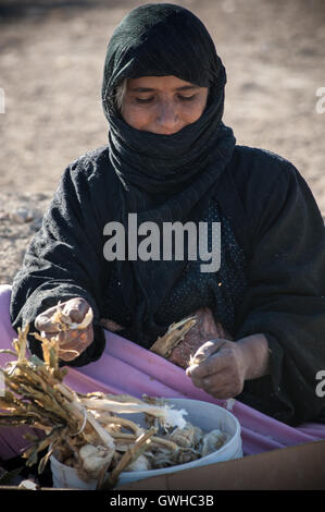 Syrian women sorting garlic on a farm near Damascus Stock Photo - Alamy