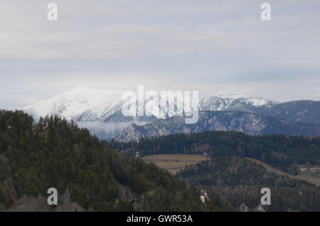 Photographed here near Semmering in the dead of winter with snow ...