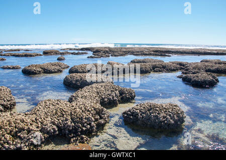 Clear fringe reef and rock pools at Blue Holes Beach on the Indian ...