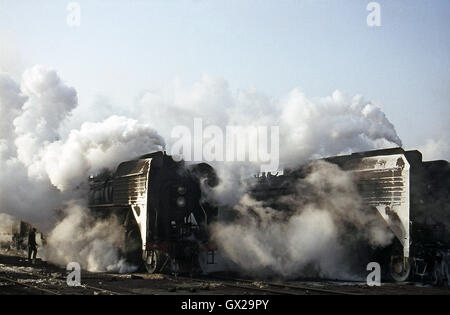 A pair of QJ Class 2-10-2s in the steam testing shed at Datong ...