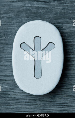 Algiz Nordic stone rune on fur. Letter Eolh of the Viking alphabet ...