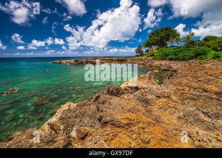 Sharks Cove snorkeling Stock Photo - Alamy