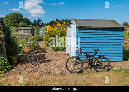 Allotment Cycling Keeping Fit in Retirement Stock Photo - Alamy