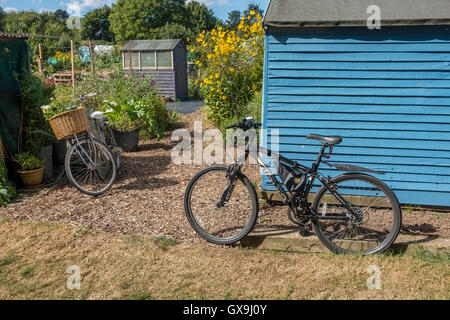 Allotment and Cycling Keeping Fit in Retirement Stock Photo - Alamy
