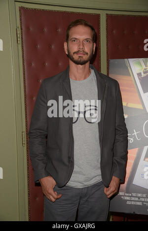 Premiere of 'First Comes Like' at Landmark Regency Theatre Featuring ...