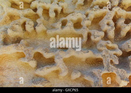 Textured limestone rock with erosion sponge surface, Provence, France ...
