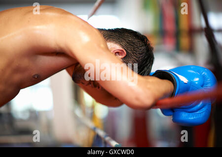 Boxer leaning on ropes of boxing ring Stock Photo - Alamy