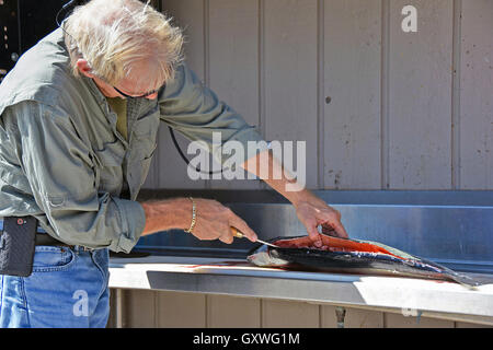 Caucasian man cleaning a salmon at fish cleaning station Stock Photo ...