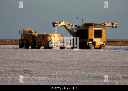Namibia, Walvis Bay. Salt Pan Refinery Truck Stock Photo - Alamy