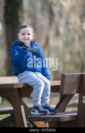 Wooden table and bench in the pine forest in autumn Stock Photo - Alamy
