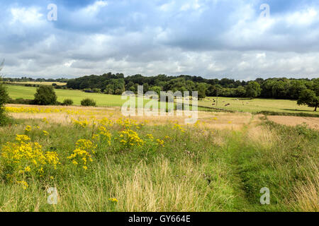 The source of the River Thames, in a field near the cotswold town of ...