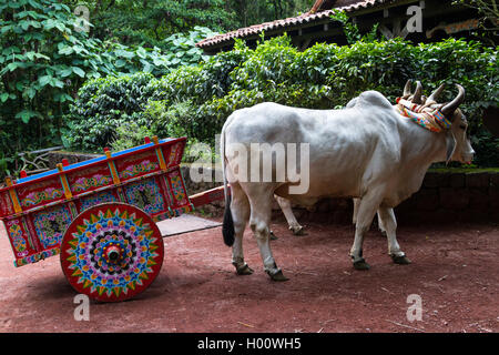Costa Rica - Typical Decorated And Painted Ox Cart - Indigenous ...