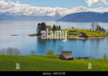 Insel Omaholmen im Hardangerfjord, Norwegen, Hordaland | Omaholmen in Hardangerfjord, Norway ...