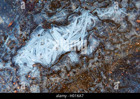 Top view of Ice crystals on green grass close up, Nature background ...