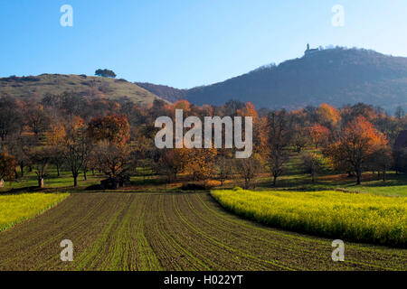 Teck Castle, Kirchheim Teck, Swabian Alb, Baden Wurttemberg, Germany ...