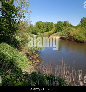 river Ems in Emsdetten, Germany, North Rhine-Westphalia, Muensterland ...