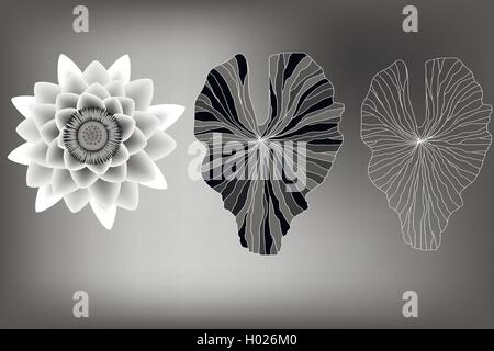 Lotus Flower in Black and White Background Vector Stock Vector Image ...