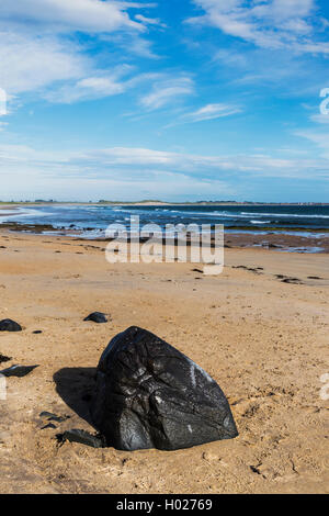 Large Rock on Beach at Beadnell Bay on the Northumberland Coast Stock ...