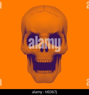 Skull in vintage duotone and halftone style Stock Vector Image & Art ...