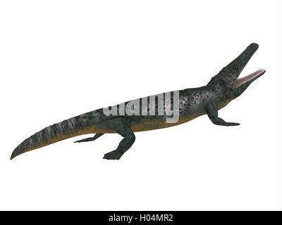 Archegosaurus Amphibian - Archegosaurus was a carnivorous amphibian ...