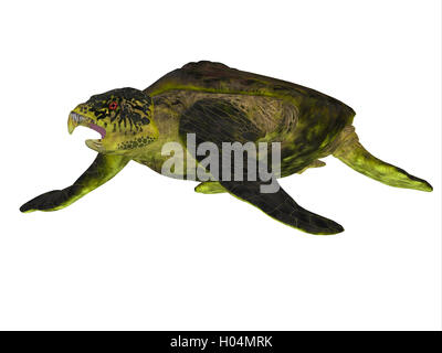 Giant Sea Turtle Archelon Stock Photo - Alamy
