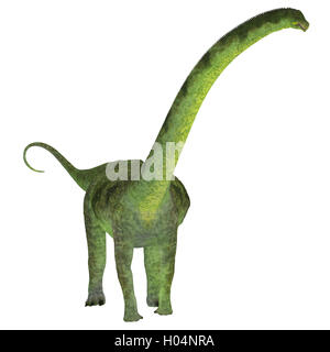 Puertasaurus was a herbivorous sauropod dinosaur that lived in ...