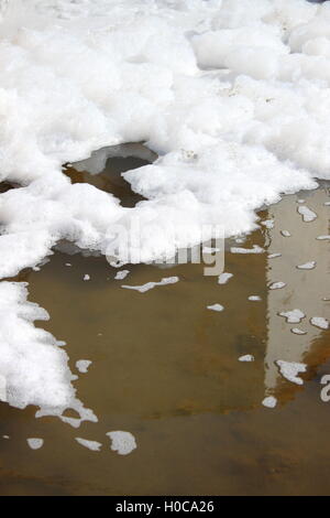 Dirty foam floating of the water surface Stock Photo - Alamy
