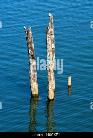 Waterlogged tree stumps in the river at Sanklaburi Thailand Stock Photo ...