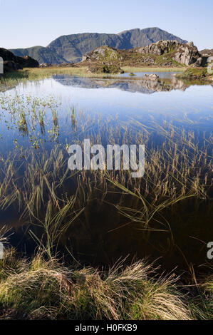 Pillar from Innominate Tarn on Haystacks Stock Photo - Alamy