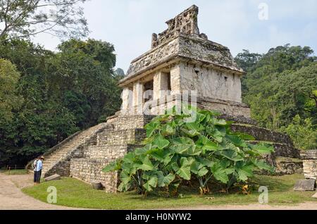 The Mayan ruins of Palenque, a UNESCO World Heritage site, in Chiapas ...