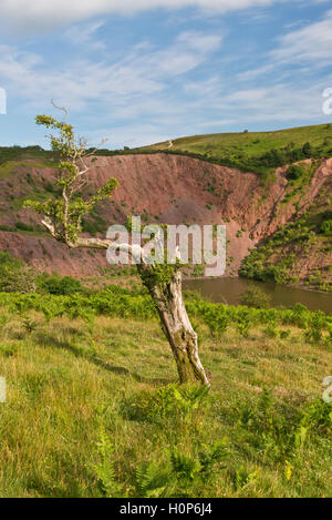 Triscombe Quarry on the Quantocks, Somerset at sunset. The Moon can be ...