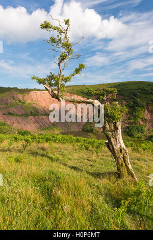 View of Triscombe quarry from Marrow Hill on the Quantock Hills part of ...