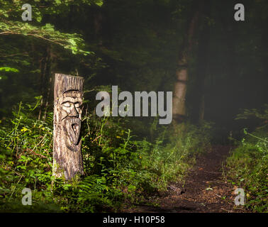 Pengelli Forest, Pembrokeshire, Wales, UK Stock Photo - Alamy