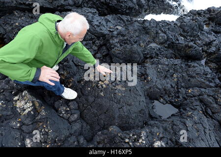 pillow lava with gas bubbles at Strumble Head formed under water ...