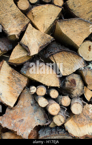 Winter drying large wood store in the Scottish Highlands; Firewood ...