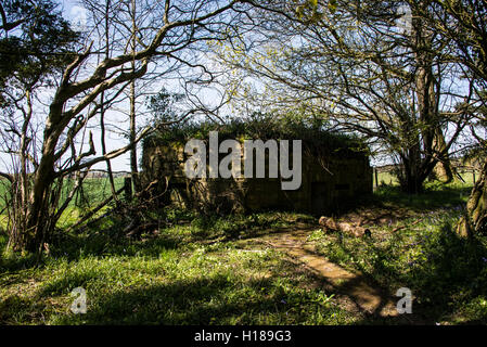 A world war 2 pillbox in Longleat Forest, Wiltshire Stock Photo - Alamy
