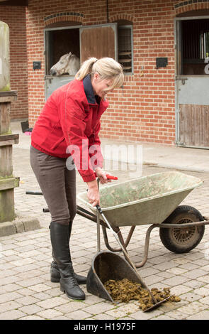 Woman mucking out, horse manure, muck-rake, dung fork, muck-heap Stock ...