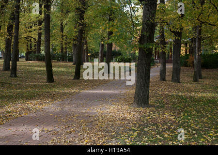 Glebe Park in Canberra, Australia Stock Photo - Alamy