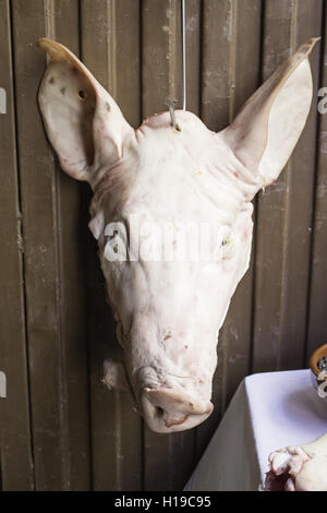 Pork, Pigs, The meat factory, Pig's head in the butcher's workshop ...