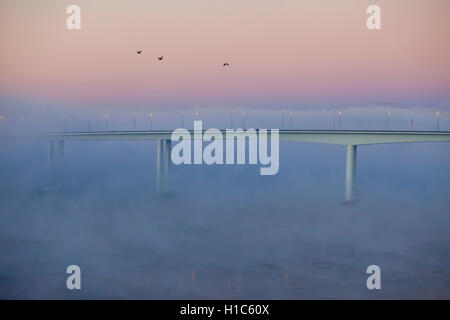 Freixo bridge, Porto Portugal Stock Photo - Alamy