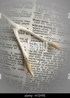 Wishbone and Wish Dictionary Definition Stock Photo - Alamy