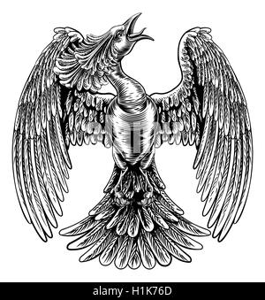 An original illustration of a phoenix fire bird or peacock in a vintage ...