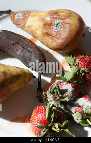 Fruit, rotting and going mouldy on a white plate covered in green ...