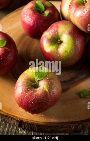 Raw Organic Red Mcintosh Apples Ready for Eating Stock Photo - Alamy