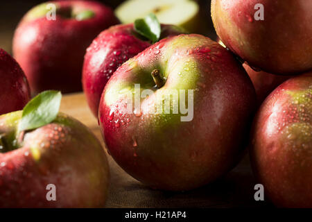 Raw Organic Red Mcintosh Apples Ready for Eating Stock Photo - Alamy
